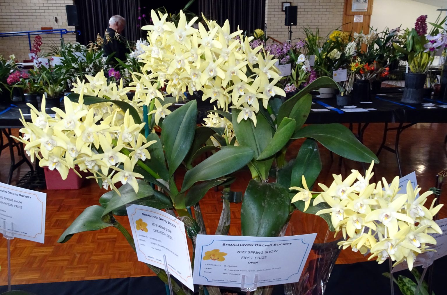 Ira Butler Trophy – Ira Butler Trophy